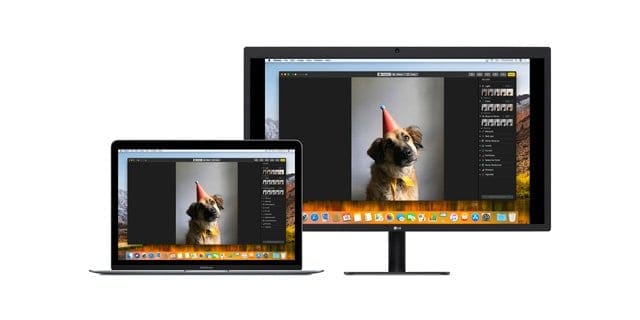 Mouse or Trackpad Cursor Moves Randomly in macOS and Mac OS X - AppleToolBox