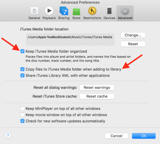 Who's Afraid of Losing Data? Comprehensive Guide to iOS Backup ...