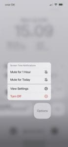 How To Set Up and Use Notifications on iPhones and iPads - AppleToolBox