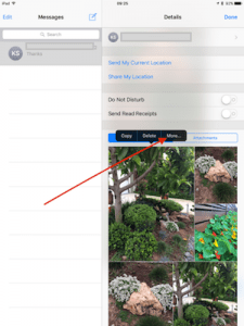 How to Save Your iMessage Images as Photos on Your iPhone - AppleToolBox