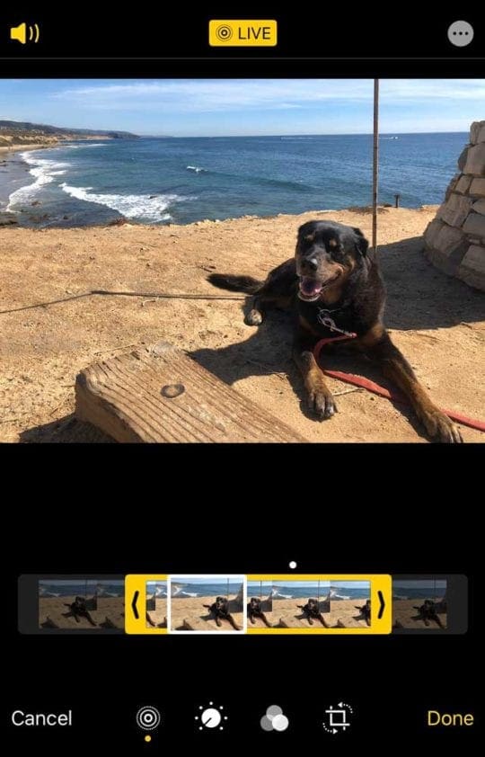 Live Photos on iPhone, A Complete Guide - AppleToolBox