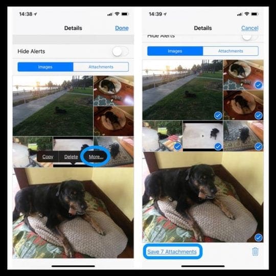 How to Quickly Save Multiple Images From Text Messages on iPhone ...