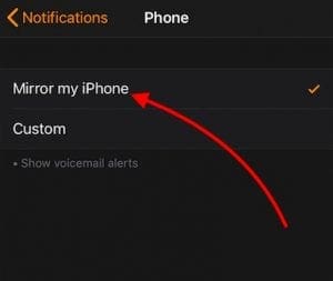 Apple Watch Not Showing Incoming Call Information, How-To Fix ...