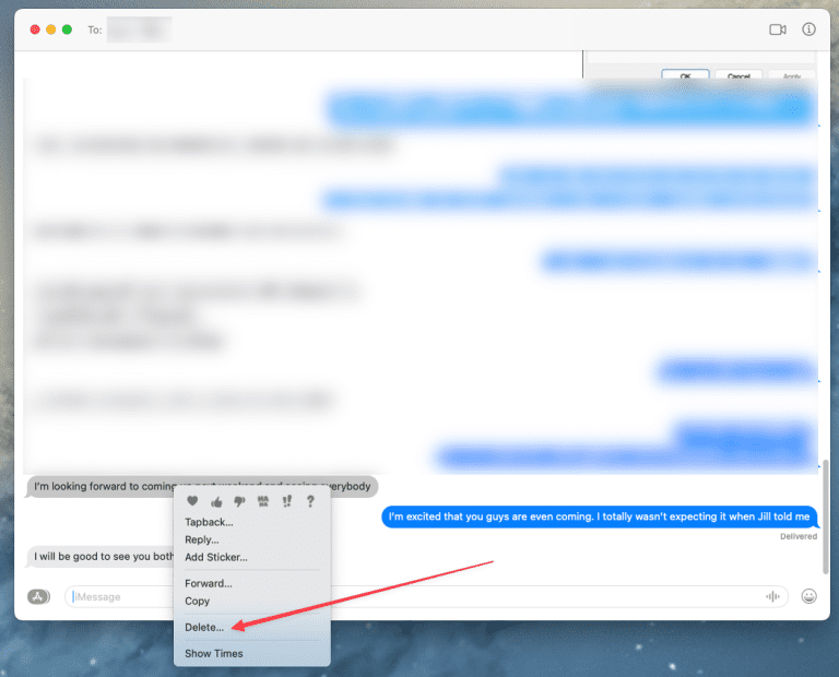 How Do I Delete Texts and iMessages on My Mac? - AppleToolBox