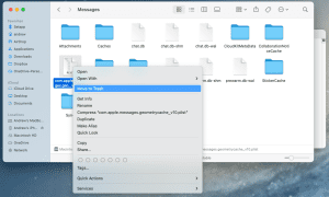 How Do I Delete Texts and iMessages on My Mac? - AppleToolBox