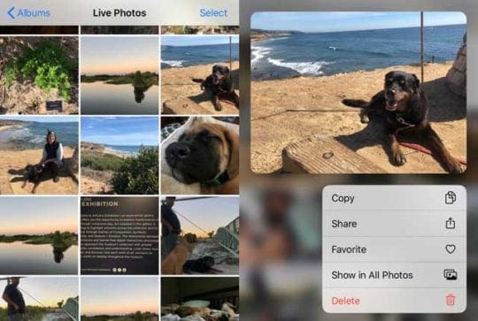 Live Photos on iPhone, A Complete Guide - AppleToolBox