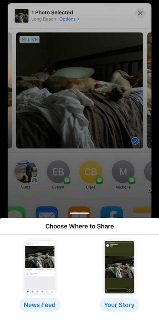 Live Photos on iPhone, A Complete Guide - AppleToolBox