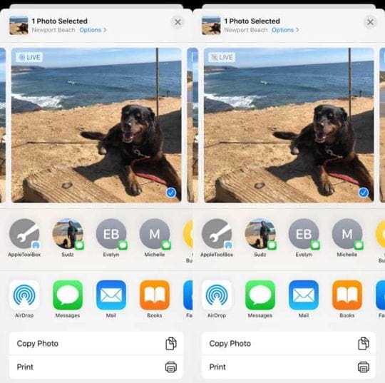 Live Photos on iPhone, A Complete Guide - AppleToolBox
