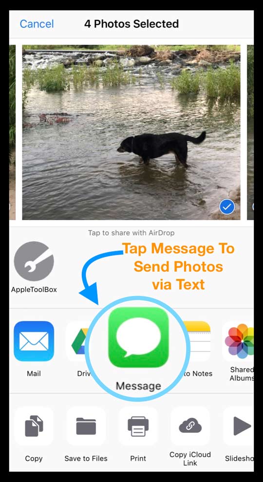How Do You Share Photos in Messages and iMessage iOS 12? - AppleToolBox
