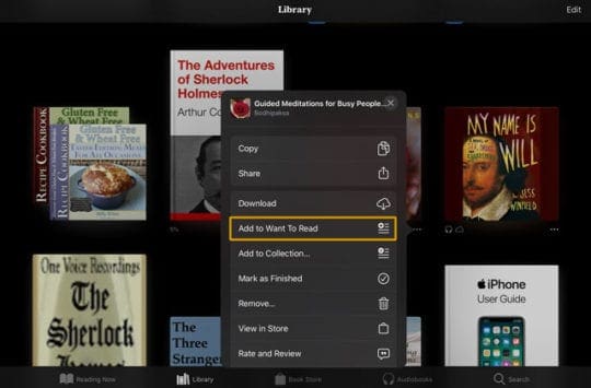 How to use Books in iOS 13 & 12 and iPadOS, essential tips - AppleToolBox