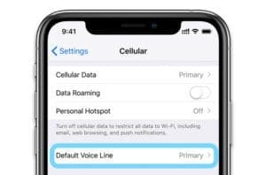 Seeing Message "Number Changed To Primary" on iPhone 11, XS, or XR ...