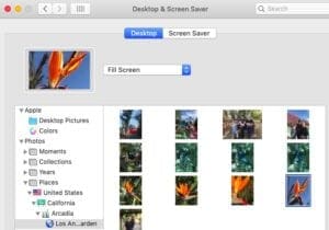 Easily change your Lock Screen background on macOS Mojave - AppleToolBox