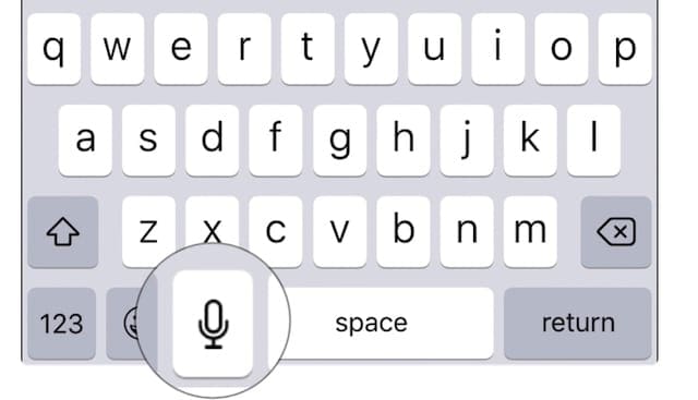 What to do if Dictation isn't working on your iPhone or iPad - AppleToolBox