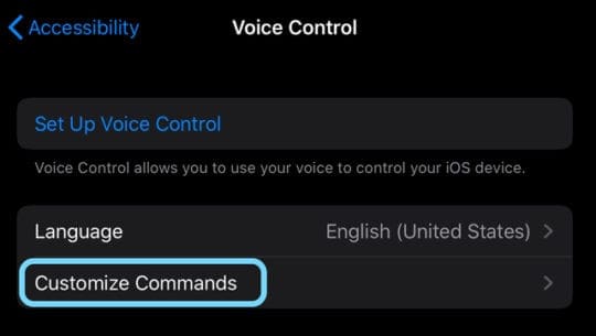 Where's Accessibility Settings in iOS 13 and iPadOS? We found it and ...