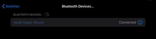 How to set up a Bluetooth or Magic Mouse with iPadOS - AppleToolBox