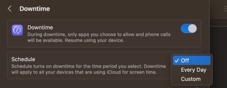 How to Block Websites on Mac: 4 Easy Ways - AppleToolBox