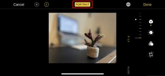iPhone Portrait Mode Explained: What It Is and How to Use It