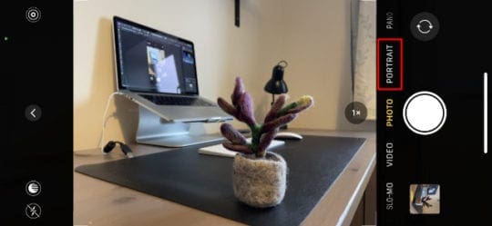 iPhone Portrait Mode Explained: What It Is and How to Use It