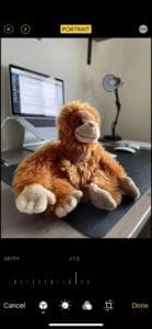 A Complete Guide to Editing Photos on Your iPhone - AppleToolBox