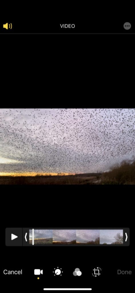 A Complete Guide to Editing Photos on Your iPhone - AppleToolBox