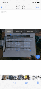 The Complete Guide to Using Live Text on iOS 15 - AppleToolBox