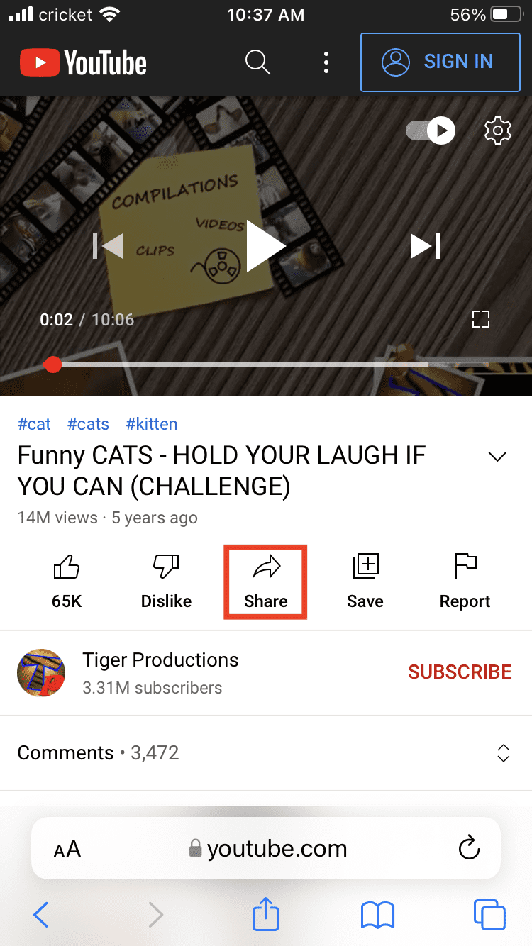 How to Use YouTube App on Your Apple Watch - AppleToolBox