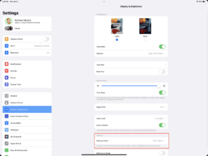 How To Enable Display Zoom on iPadOS 16 - AppleToolBox