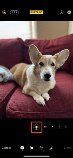 How to Use Studio Light - AppleToolBox