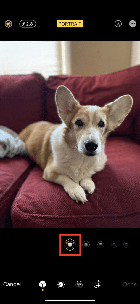 How to Use Studio Light - AppleToolBox