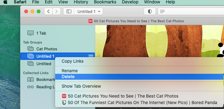 How to Use Shared Tab Groups in Safari - AppleToolBox