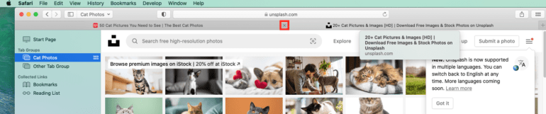 How to Use Shared Tab Groups in Safari - AppleToolBox