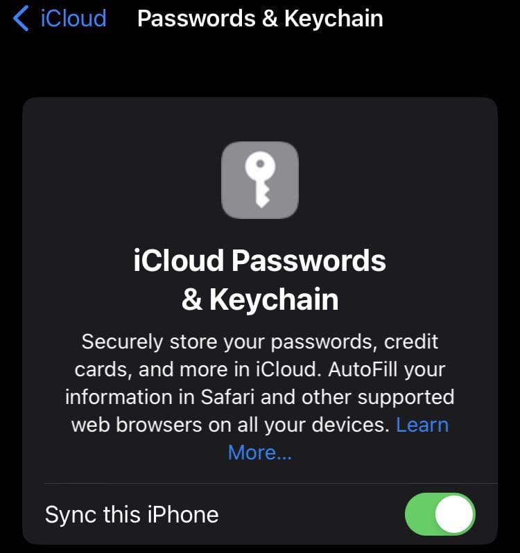 What Are Apple Passkeys? - AppleToolBox