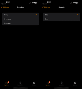 How to Enable Taptic Chimes on Apple Watch - AppleToolBox