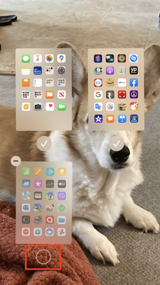 iPhone/iPad: How to Hide Apps on Home Screen - AppleToolBox