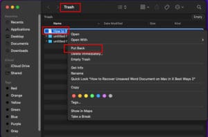 How to Recover Unsaved Word Document on Mac - AppleToolBox