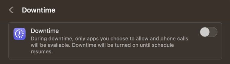 How to Customize Downtime Settings in Screen Time - AppleToolBox