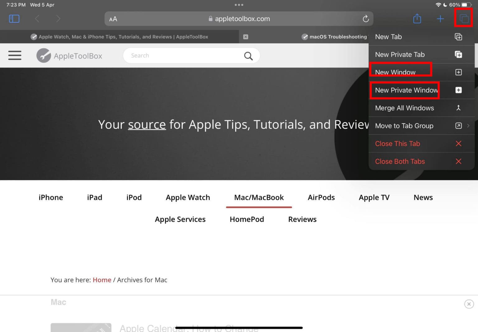 How to Open Multiple Windows of Safari on iPad (iOS 16) - AppleToolBox