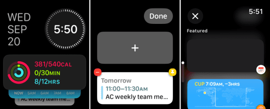 How to Use Widgets on Apple Watch - AppleToolBox