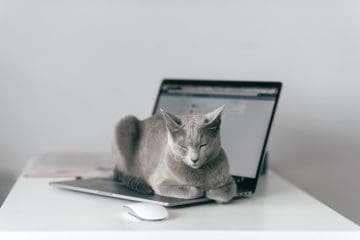How to Lock the Keyboard on a Mac - AppleToolBox