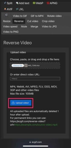 How to Reverse a Video on iPhone without an App - AppleToolBox