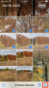 How to Set Up Photo Slideshows on iPhone - AppleToolBox