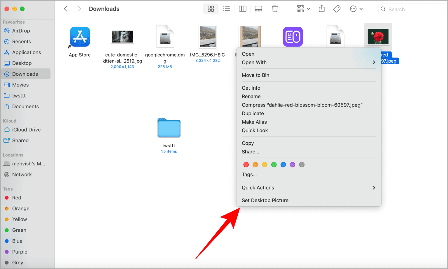 How to Set Wallpaper on Mac From Google or Downloads Folder - AppleToolBox