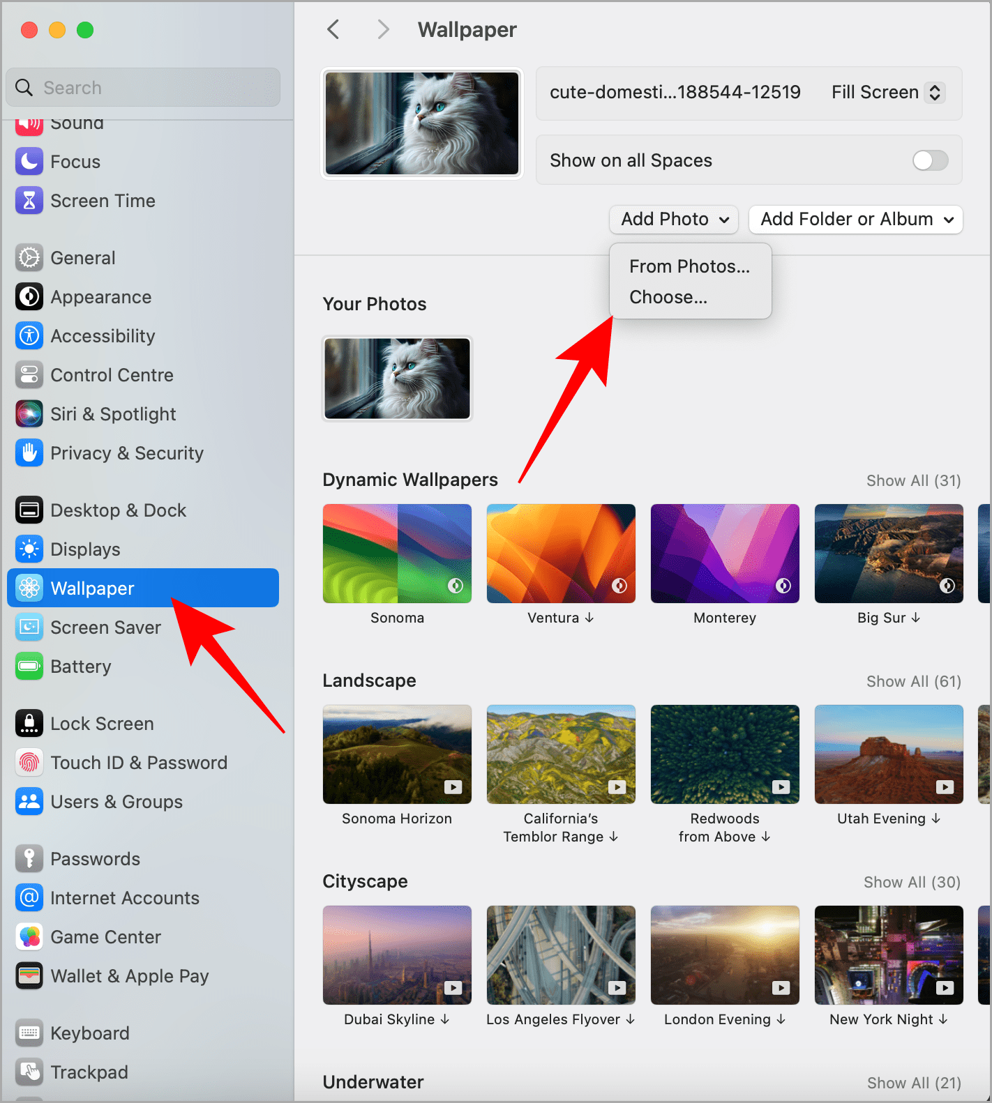 How to Set Wallpaper on Mac From Google or Downloads Folder - AppleToolBox