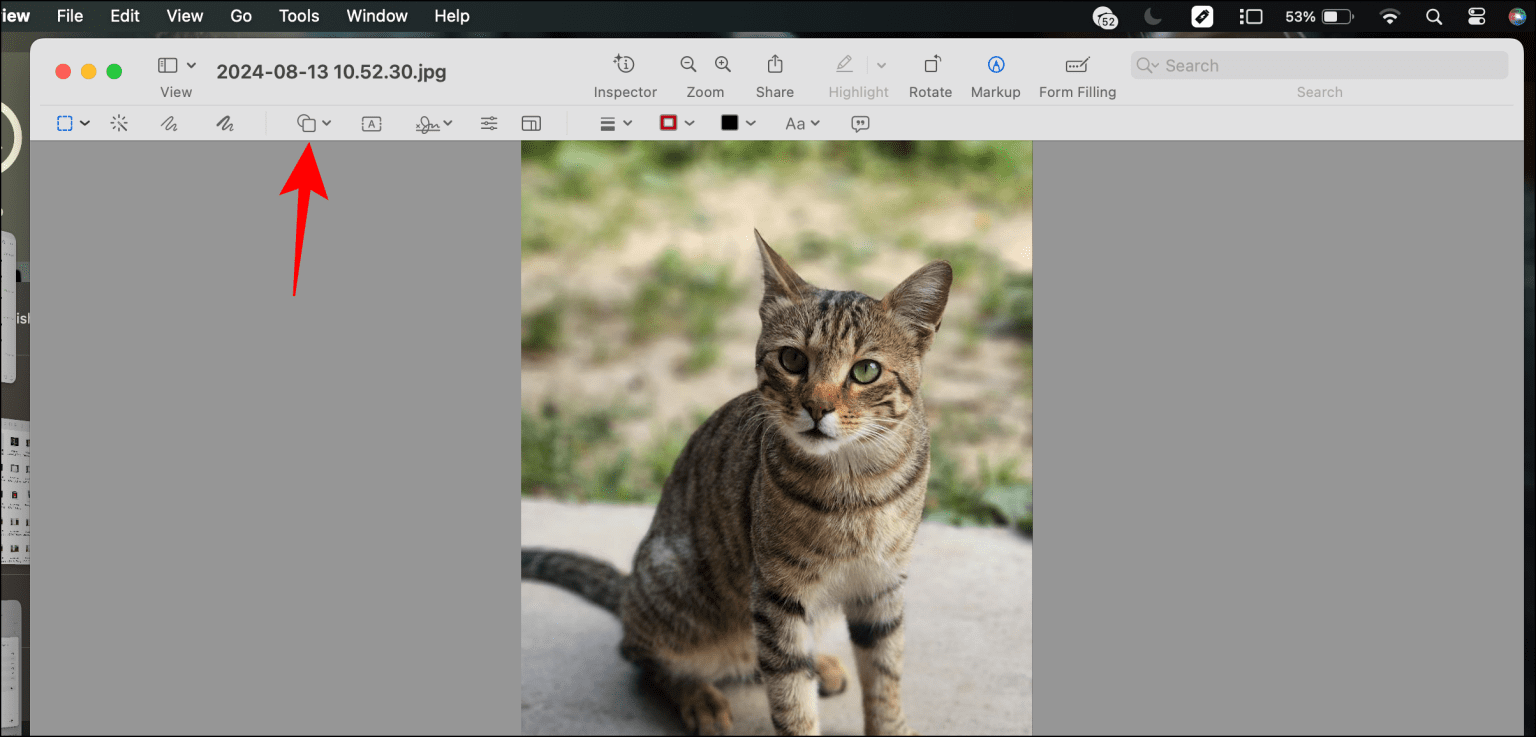 How to Edit Images on Mac Like Paint - AppleToolBox