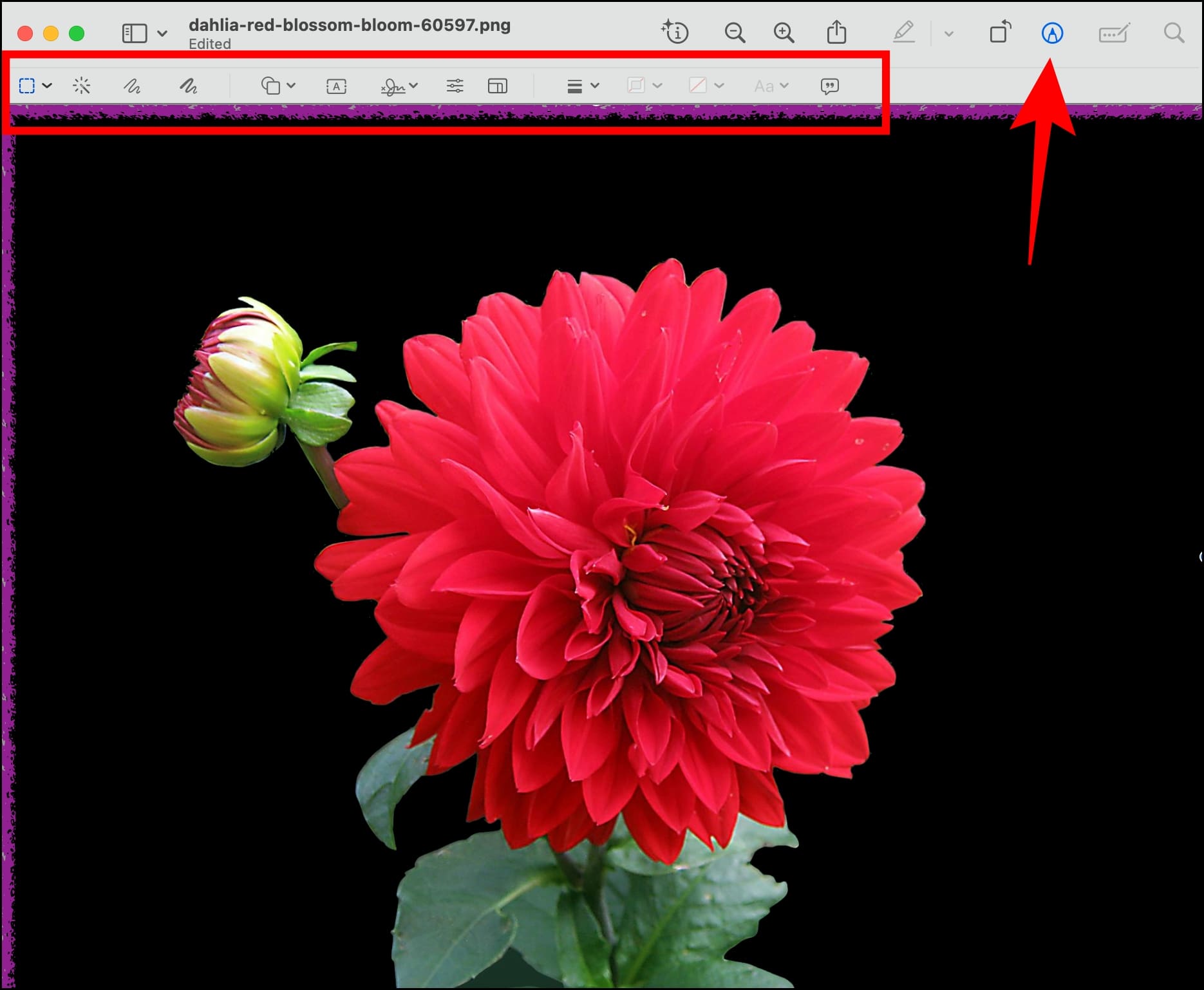 2 Ways to Edit Photos on Mac for Free and Without Photoshop - AppleToolBox
