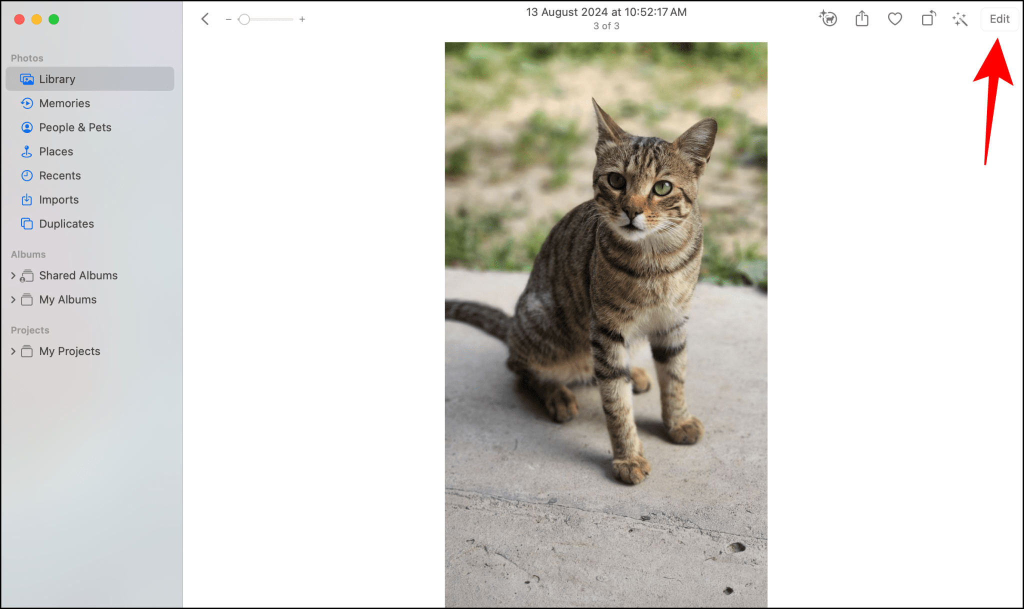 2 Ways to Edit Photos on Mac for Free and Without Photoshop - AppleToolBox