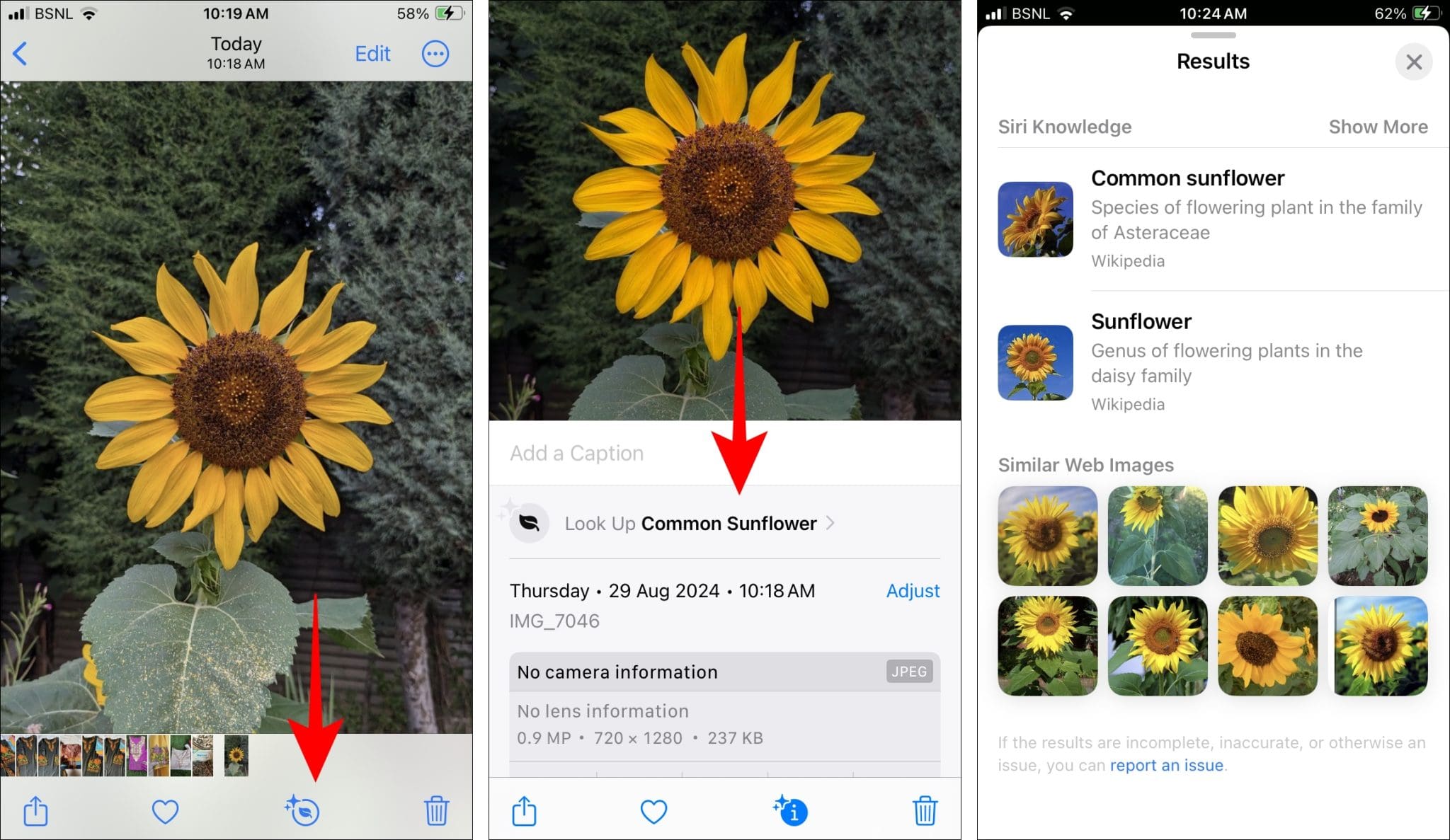 What Is the Google Lens Alternative or Equivalent on iPhone? - AppleToolBox