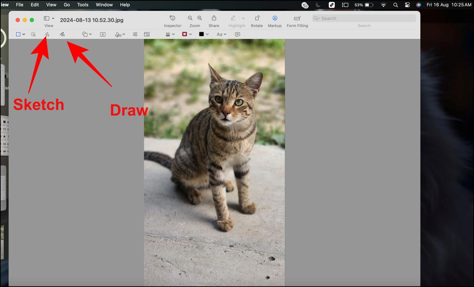 How to Edit Images on Mac Like Paint - AppleToolBox