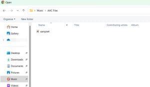 Ways to Play AAC Music Files on Windows - AppleToolBox