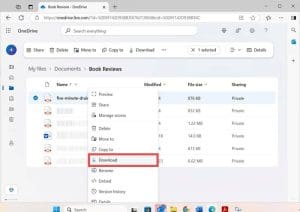 How to Sync iCloud with OneDrive - AppleToolBox